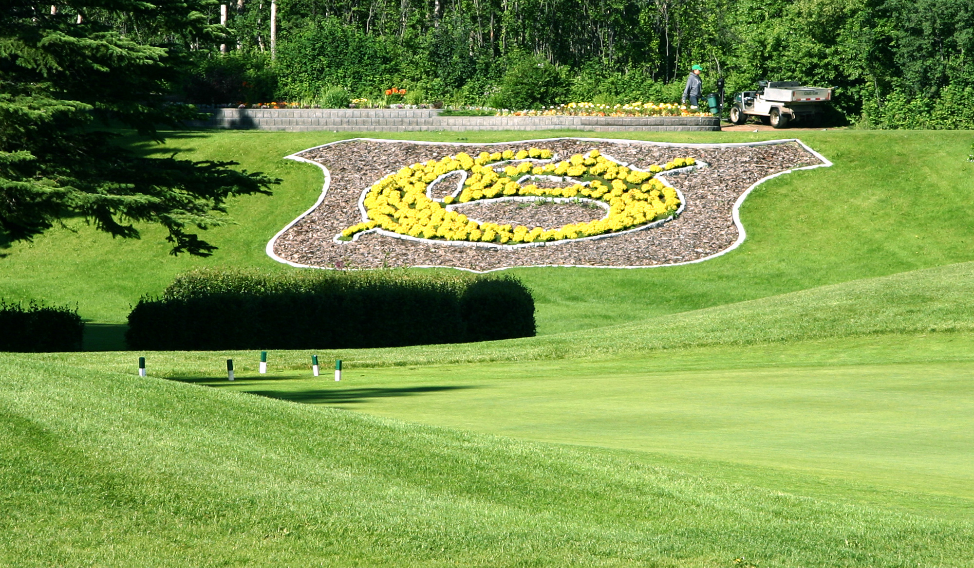 Oilers Entertainment Group and Mackenzie Tour – PGA TOUR Canada ...