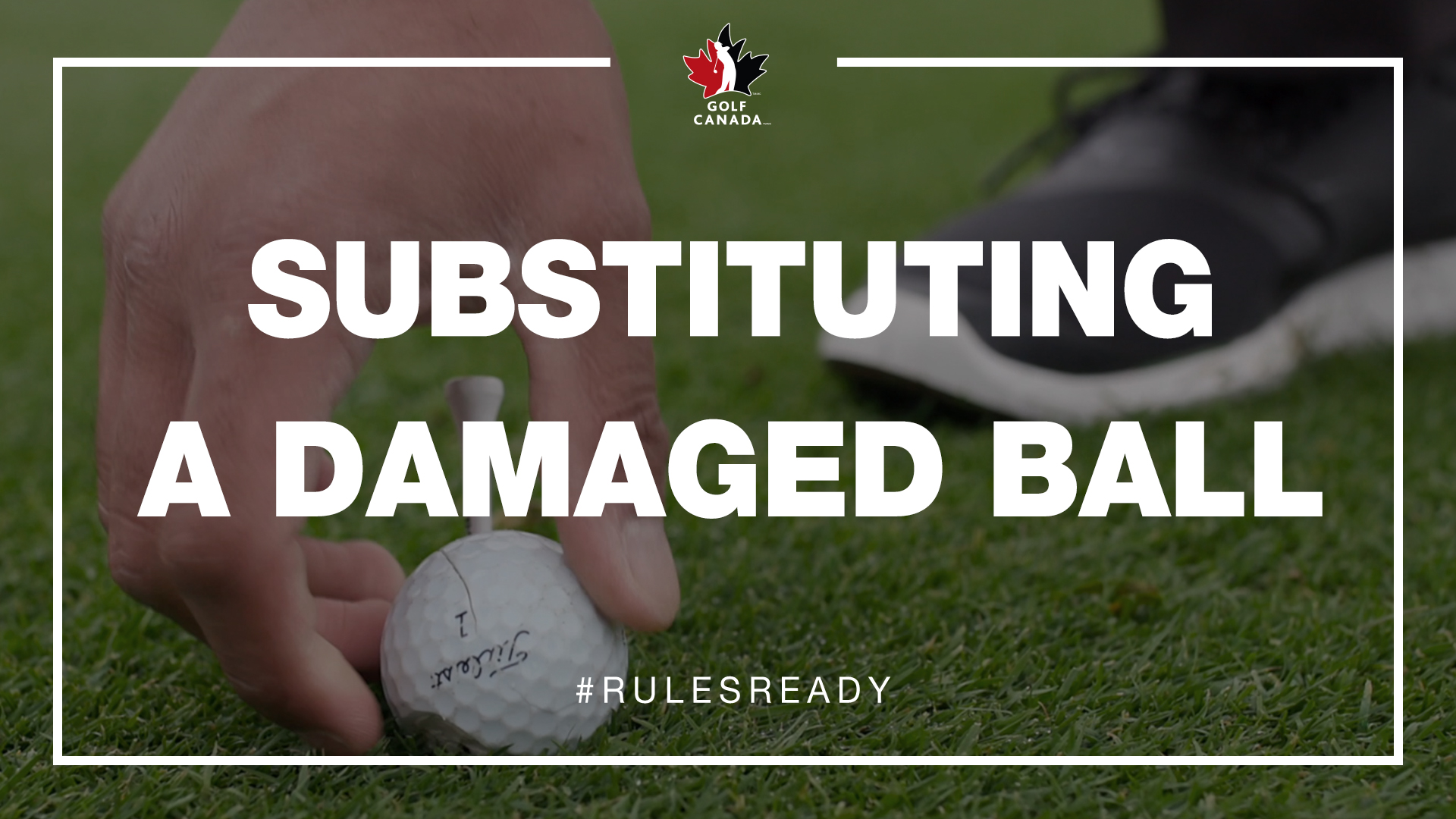 Rules of Golf: Substituting damaged ball - Golf Canada