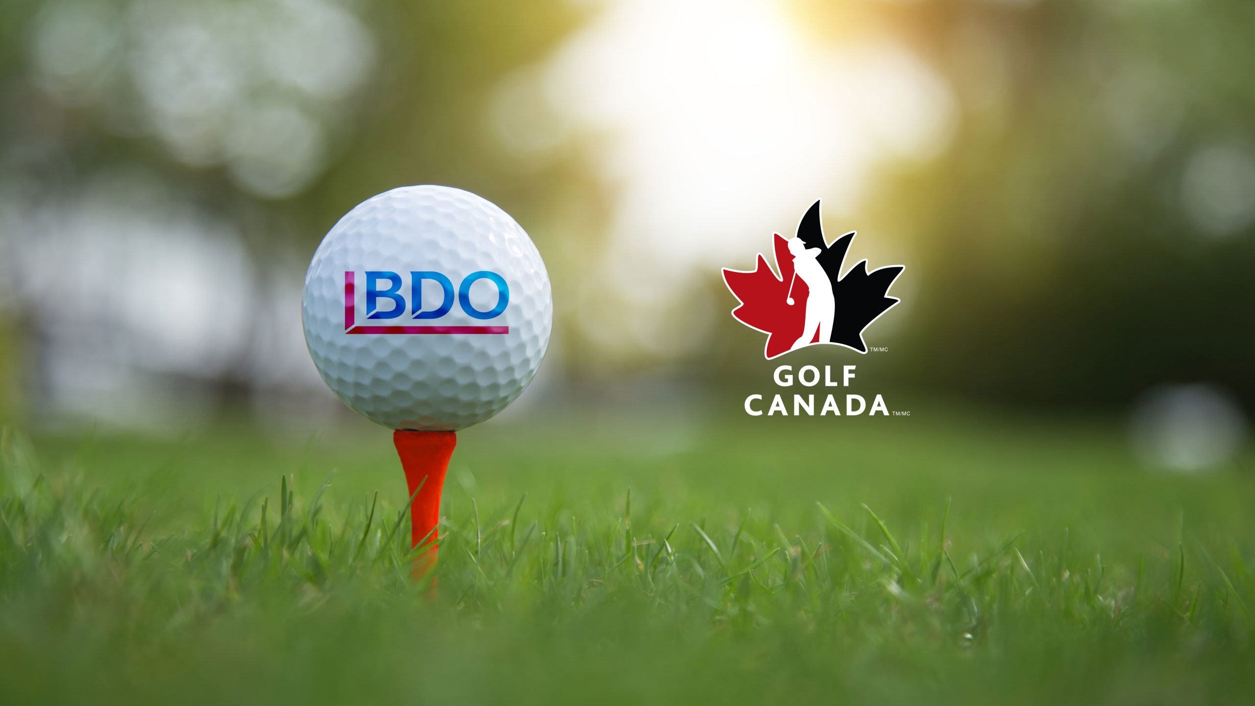 BDO Canada becomes official business & professional services partner of ...