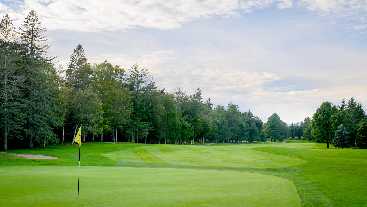 « Mon cœur n’est pas assez gros pour tout cet amour » dit Patrick ...